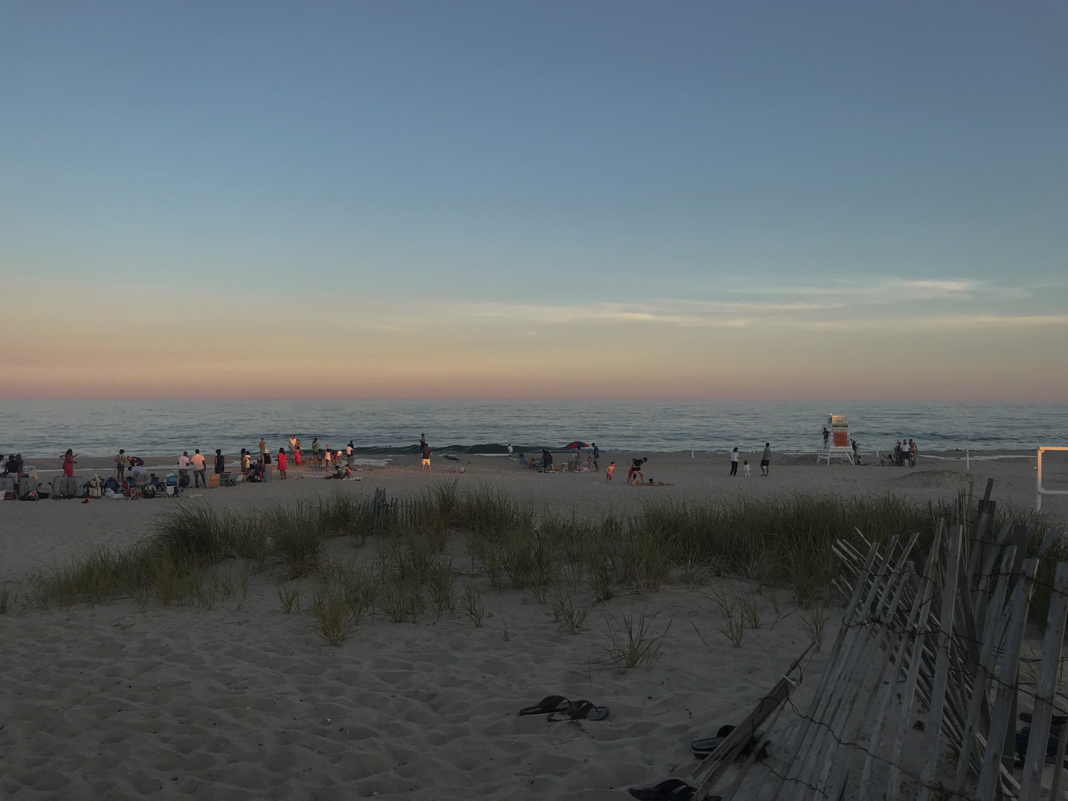 How to Plan The Perfect Day Trip to The Hamptons