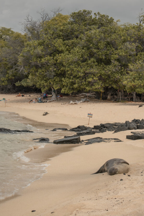 Island Guide: 10 Best Things to do on The Big Island of Hawaii